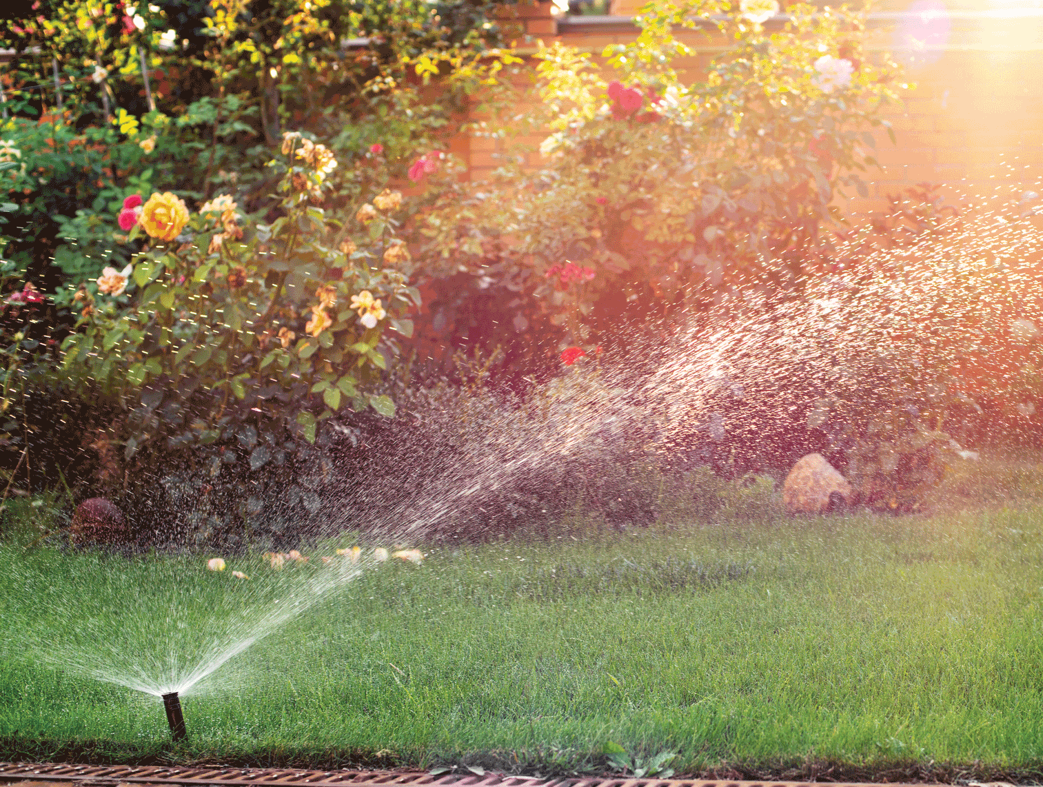 Spring has sprung: has your sprinkler system? – Efficiency Works